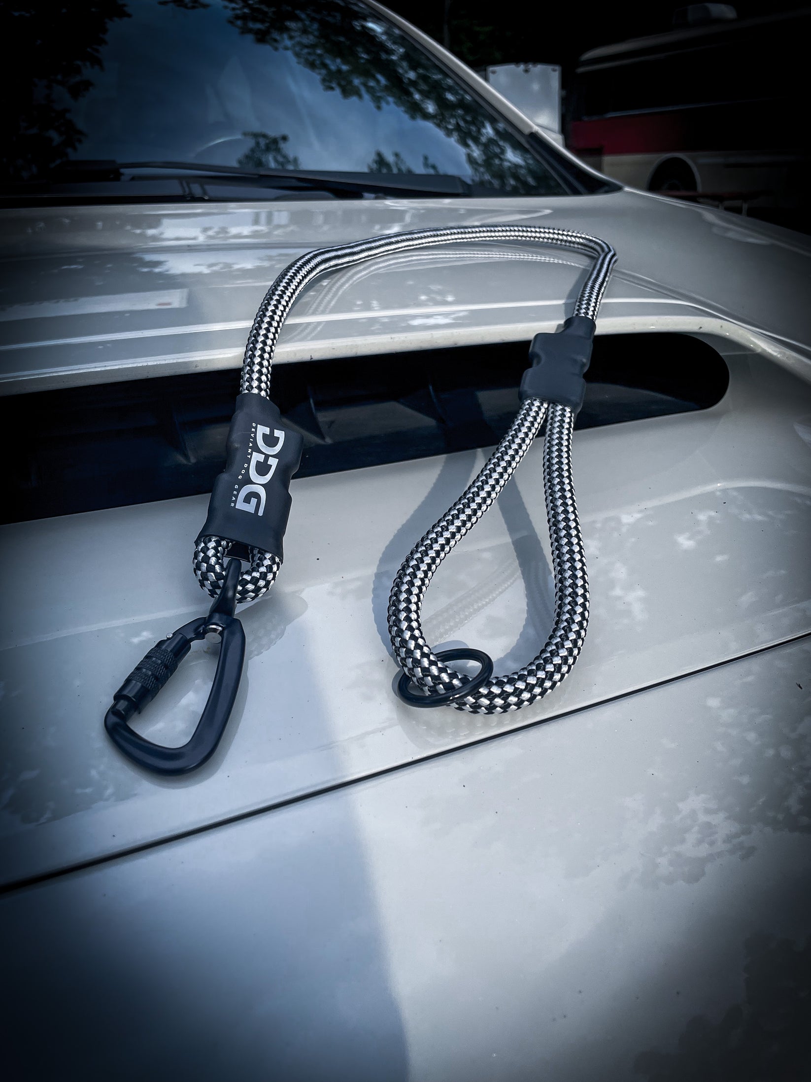 Classic Leash (Patterns) – DeviantDogGear