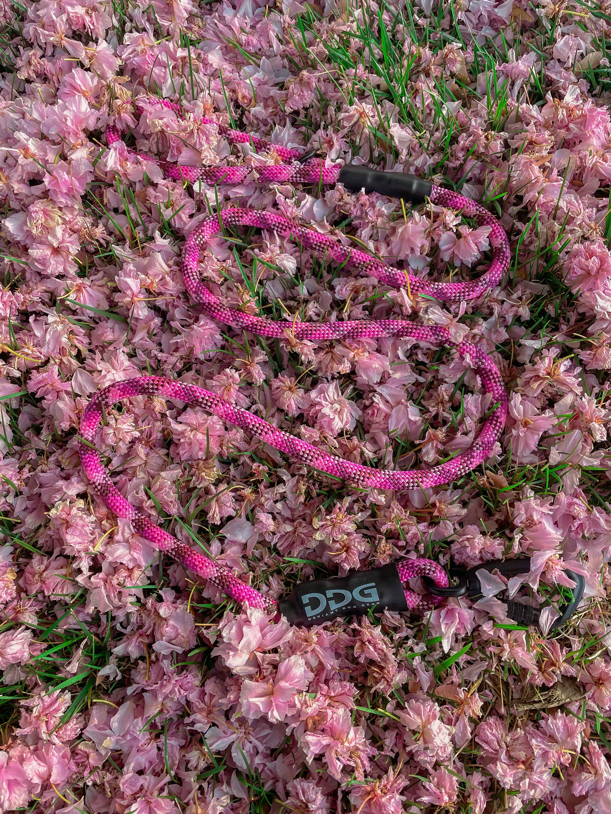 Classic Leash (Patterns) – DeviantDogGear